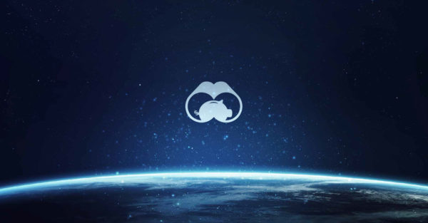 vc-image – Visual Capitalist Licensing