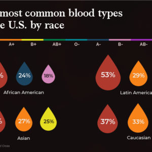 Visualizing The Most Widespread Blood Types in Every Country – Visual ...