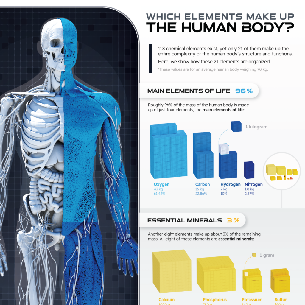 The Elemental Composition of the Human Body – Visual Capitalist Licensing