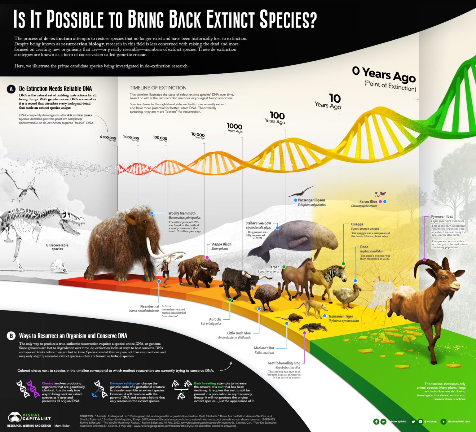 Is it Possible to Bring Back Extinct Animal Species? – Visual ...