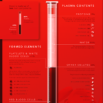 Visualizing the Composition of Blood – Visual Capitalist Licensing