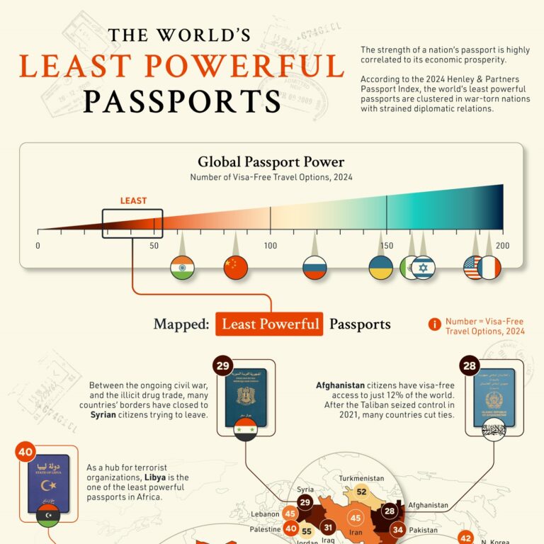Shop – Visual Capitalist Licensing