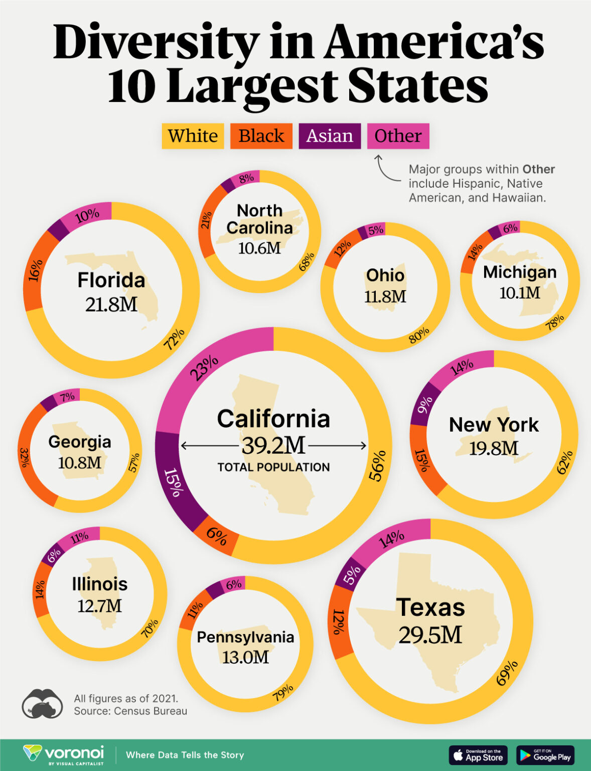 Visualizing Racial Diversity in America’s 10 Largest States – Visual ...