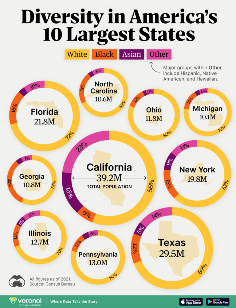 Visualizing Racial Diversity in America’s 10 Largest States – Visual ...