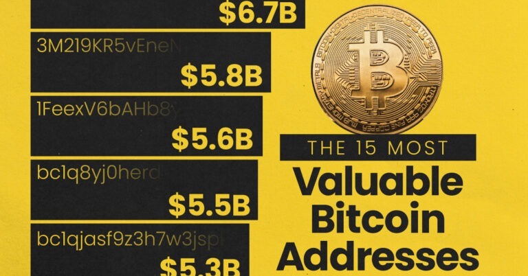 Visualizing the 15 Most Valuable Bitcoin Addresses – Visual Capitalist Licensing