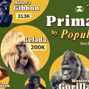 Shop – Page 9 – Visual Capitalist Licensing