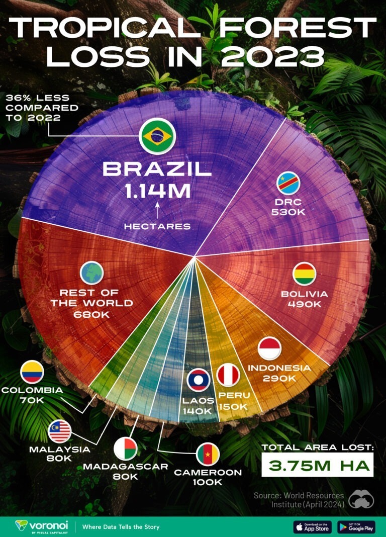 Visualizing Tropical Forest Loss in 2023 – Visual Capitalist Licensing