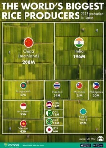 Charted: 776 Million Tonnes of Rice Production by Country – Visual ...