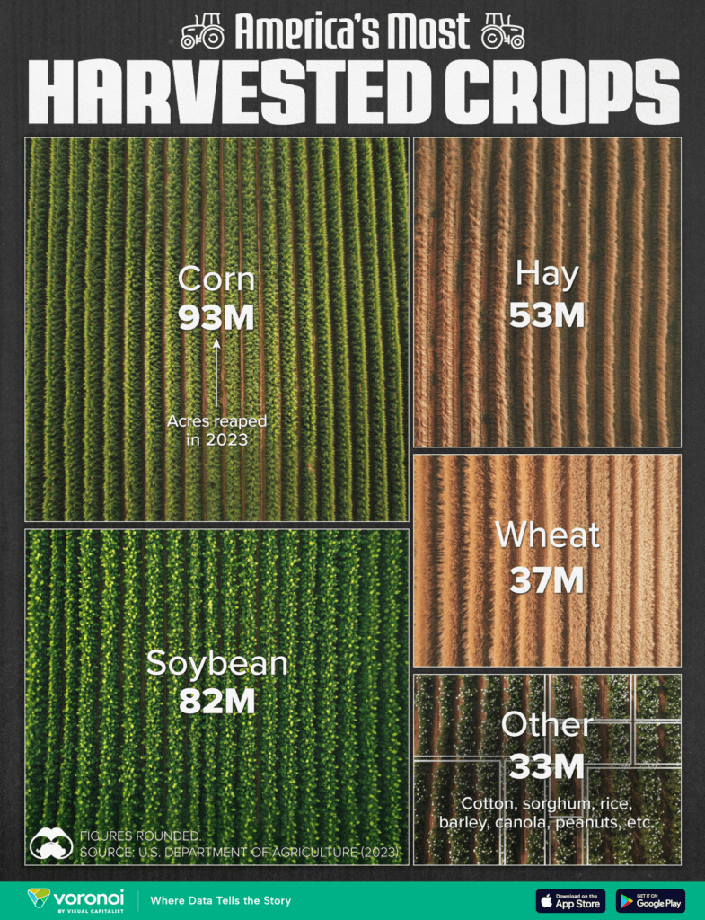 Ranked: America’s Top Crops by Acres Harvested in 2023 – Visual ...