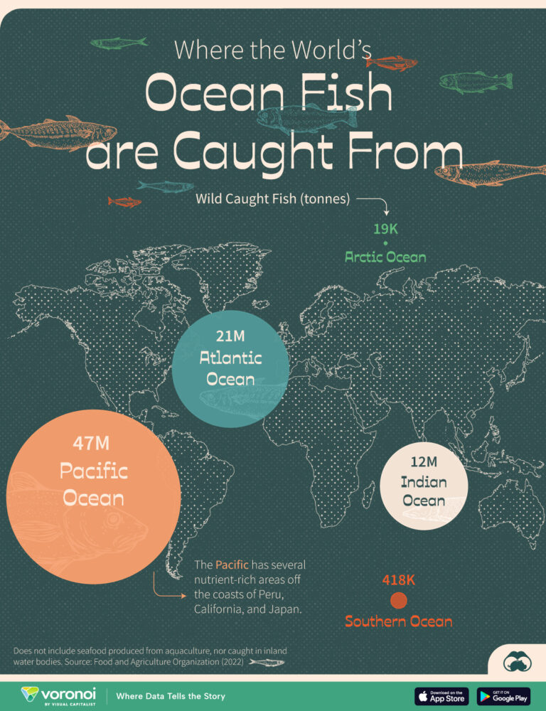 Mapped: Where the World’s Fish Are Caught, by Ocean – Visual Capitalist ...