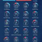 Content Library – Visual Capitalist Licensing