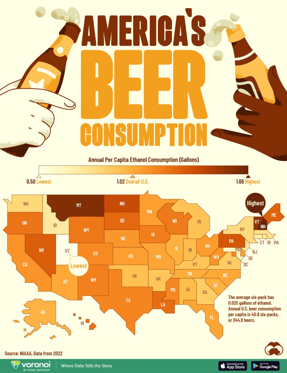 Mapped: America’s Beer Consumption By State – Visual Capitalist Licensing
