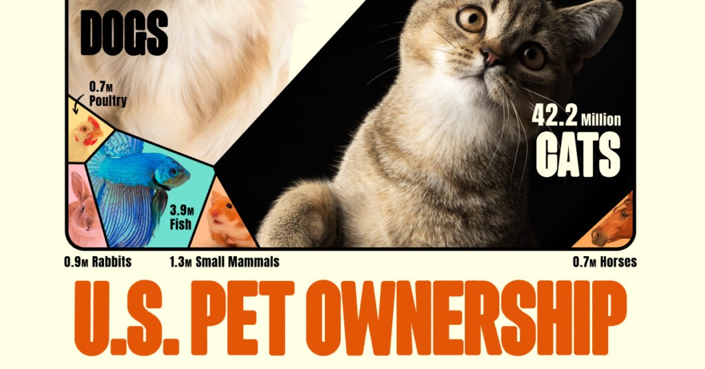 Visualizing American Pet Ownership in 2024 – Visual Capitalist Licensing