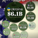 Content Library – Visual Capitalist Licensing