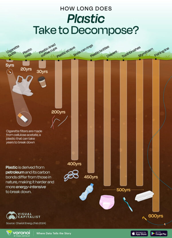 Infographic: How Long Does Plastic Take to Decompose? – Visual ...