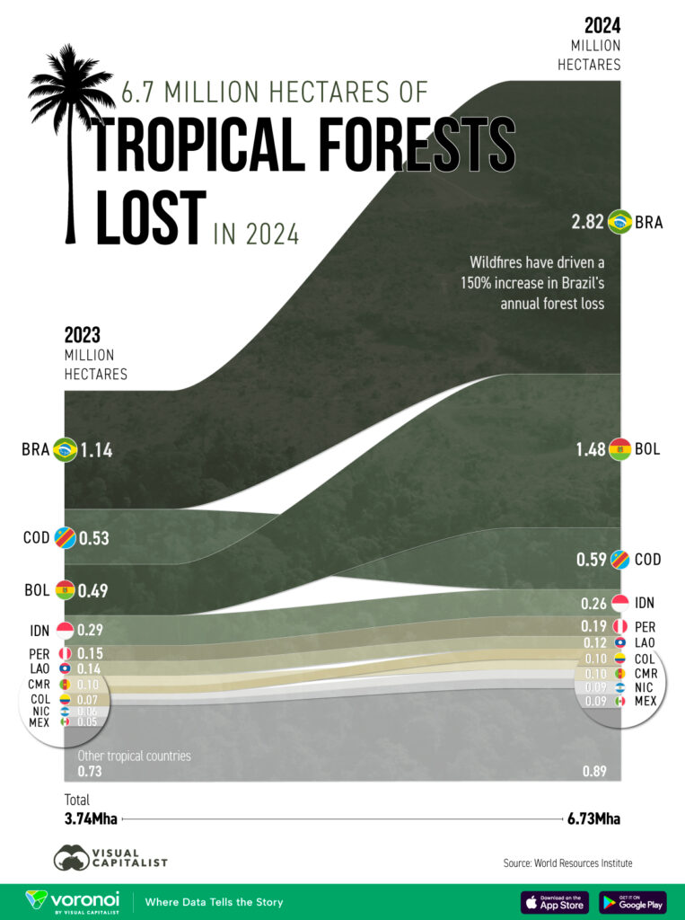Charted: Tropical Forest Loss in 2024 – Visual Capitalist Licensing