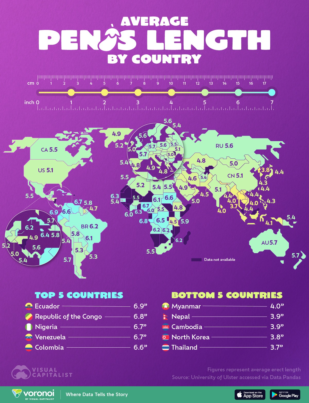 Mapped: Average Penis Length by Country – Visual Capitalist Licensing