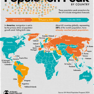 Content Library – Visual Capitalist Licensing